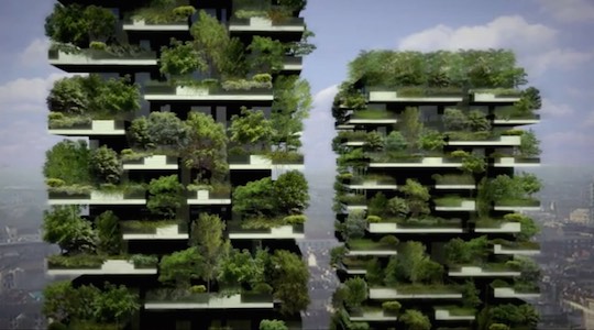 Vertical Forests | Blog . DESIGN SQUAD GLOBAL | PBS KIDS