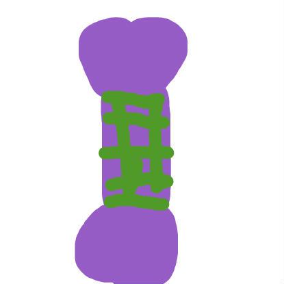 Project: an ibone for dogs! . DESIGN SQUAD GLOBAL | PBS KIDS