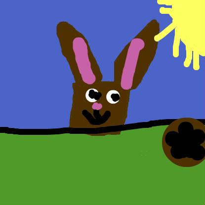 Project: A bunny figit . DESIGN SQUAD GLOBAL | PBS KIDS