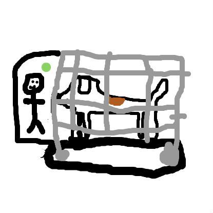 Project: there could be a dog tredmill . DESIGN SQUAD GLOBAL | PBS KIDS