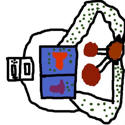 Project: An Automatic Fish Feader . DESIGN SQUAD GLOBAL | PBS KIDS