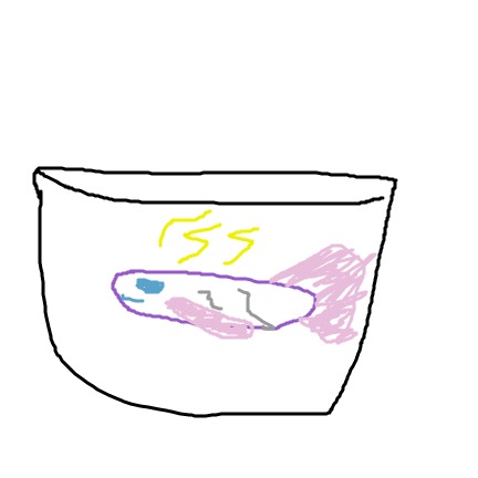 Project: a robot fish . DESIGN SQUAD GLOBAL | PBS KIDS