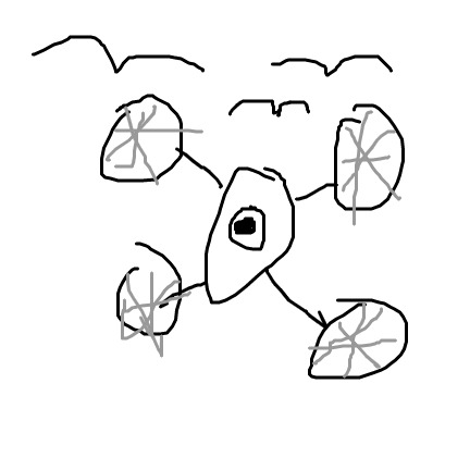 Project: design a drone that studies birds . DESIGN SQUAD GLOBAL | PBS KIDS