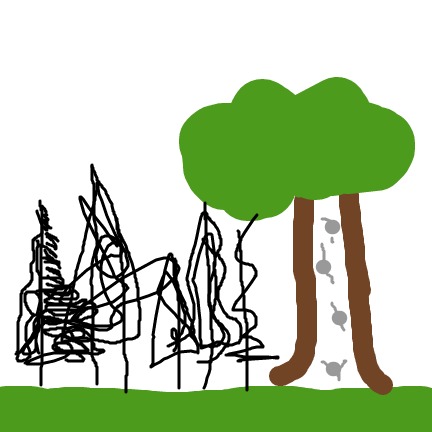 Project: Design a robotic tree . DESIGN SQUAD GLOBAL | PBS KIDS