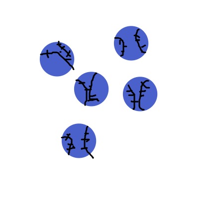 Project: water baseball . DESIGN SQUAD GLOBAL | PBS KIDS