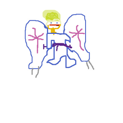 Project: I wish... i could fly! . DESIGN SQUAD GLOBAL | PBS KIDS